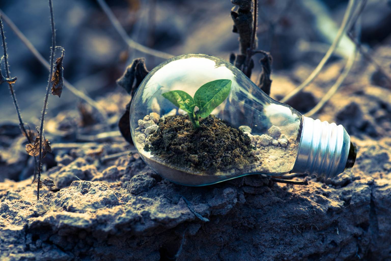The Best 101 Inspirational Quotes About Change You'll Ever Read - Calendar
